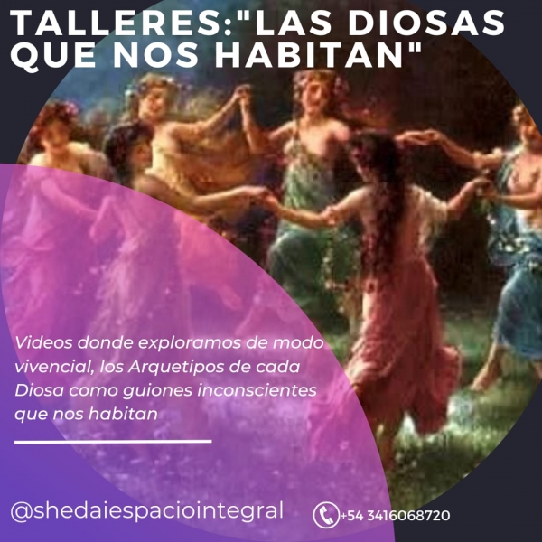 Shedai Espacio Integral